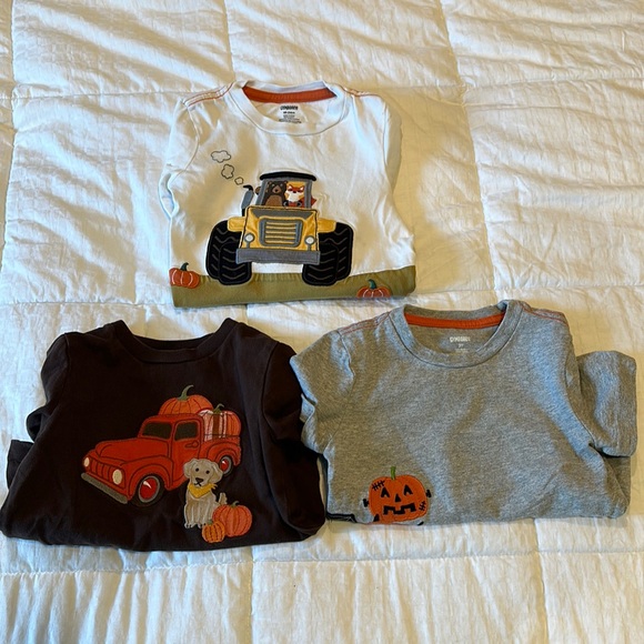 Gymboree | Shirts & Tops | Gymboree Fall Collection 2t | Poshmark